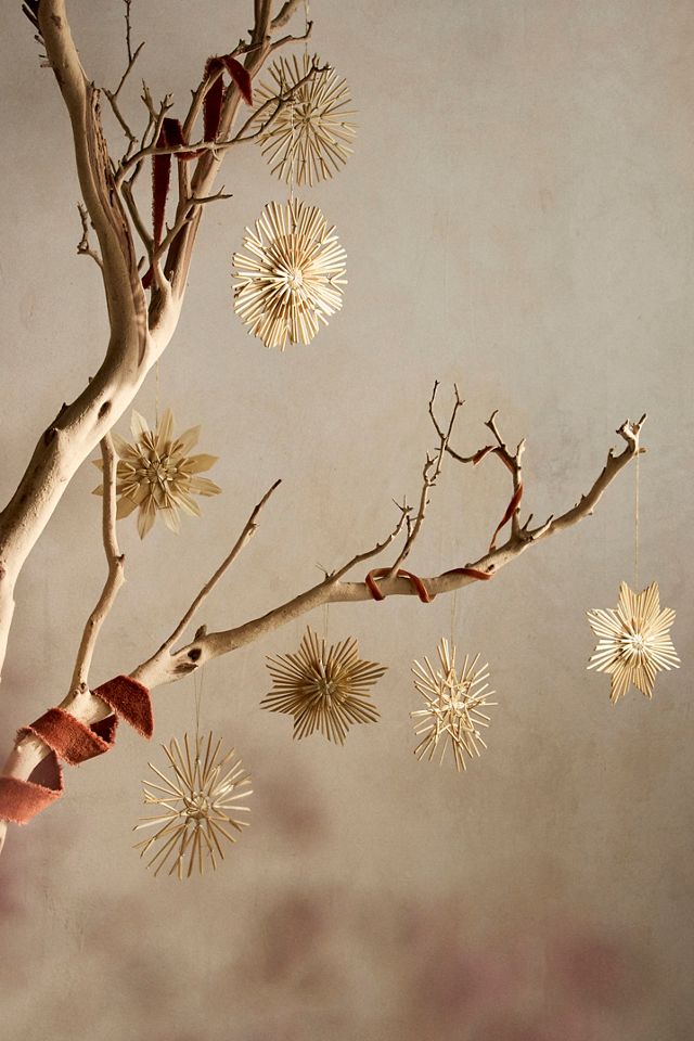Starburst Straw Ornaments, Set of 12 | AnthroLiving