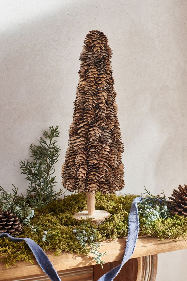 Pine Cone Tabletop Tree | AnthroLiving