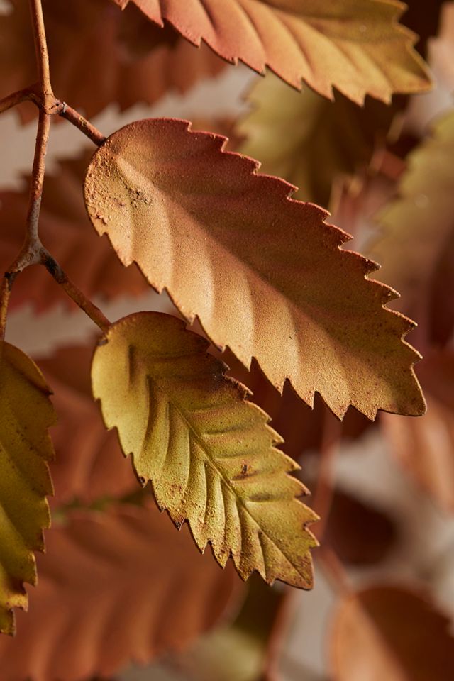 Mountain Ash Leaf Iron Wreath | Anthropologie