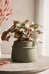 Sand Glaze Ceramic Pot | AnthroLiving