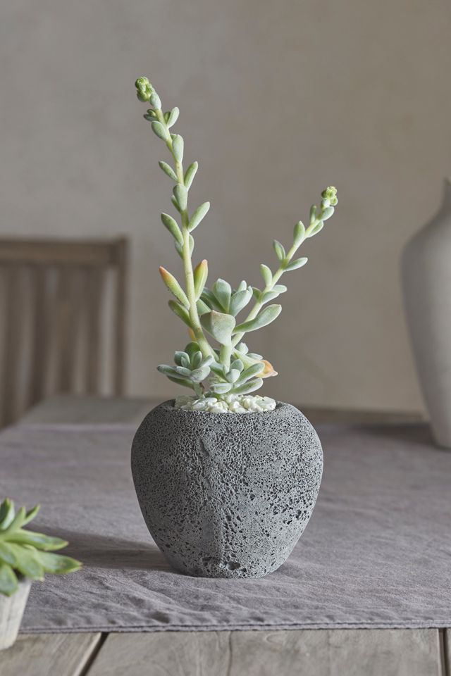 Lava Concrete Egg Planter | AnthroLiving