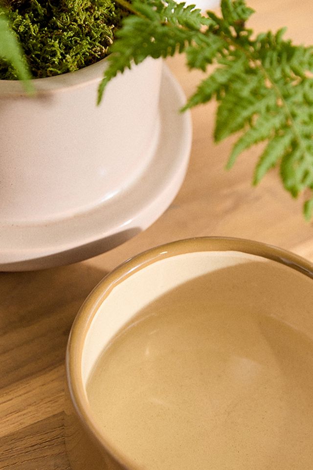 Self-Watering Ceramic Pot + Pedestal Basin Set | Terrain