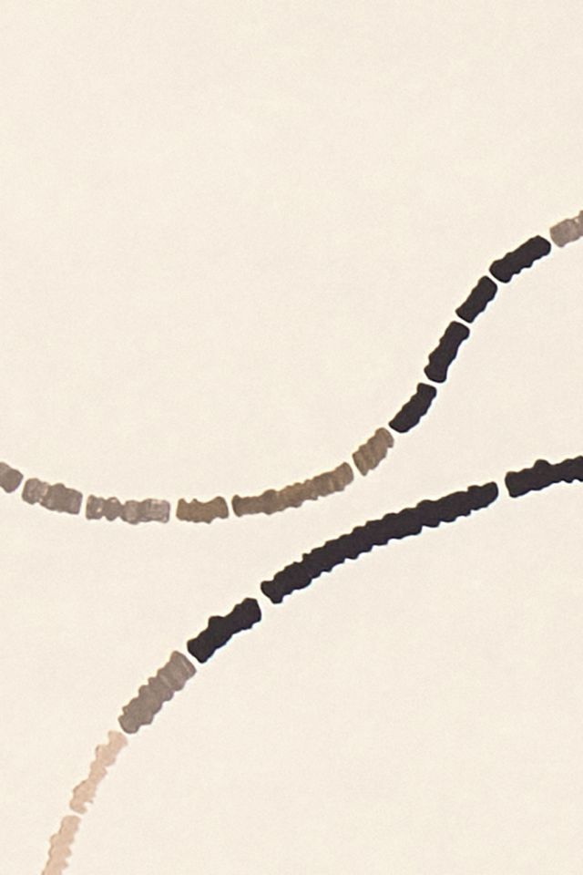 Backdrop TURINI Wallpaper | Anthropologie