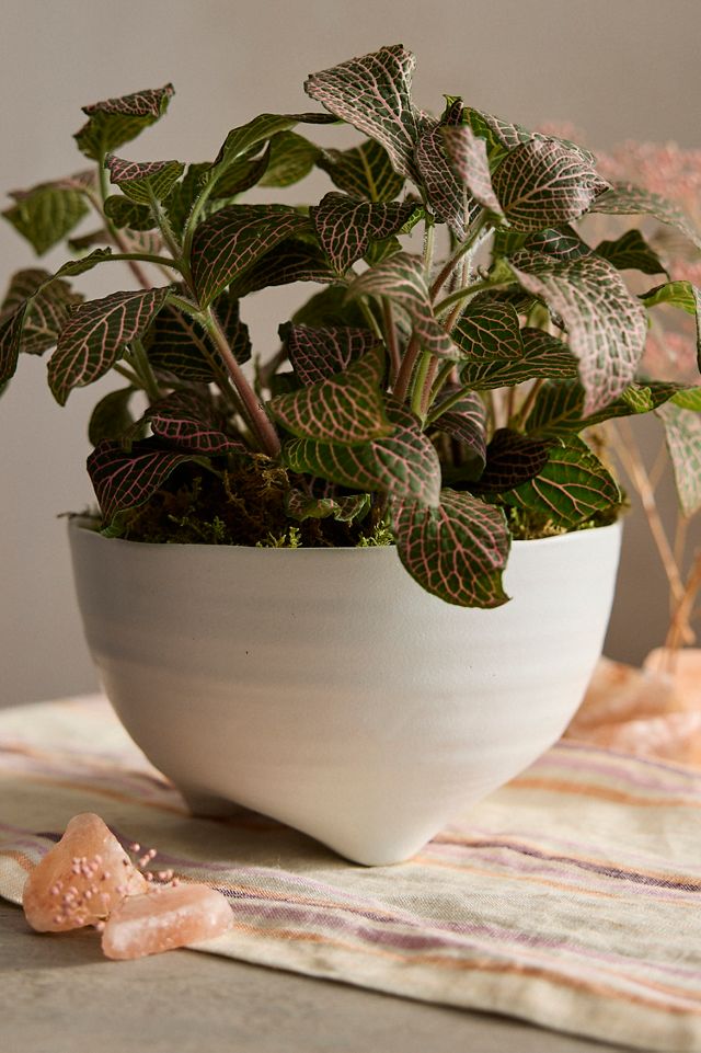 Ceramic Bowl Planter with Feet | Terrain