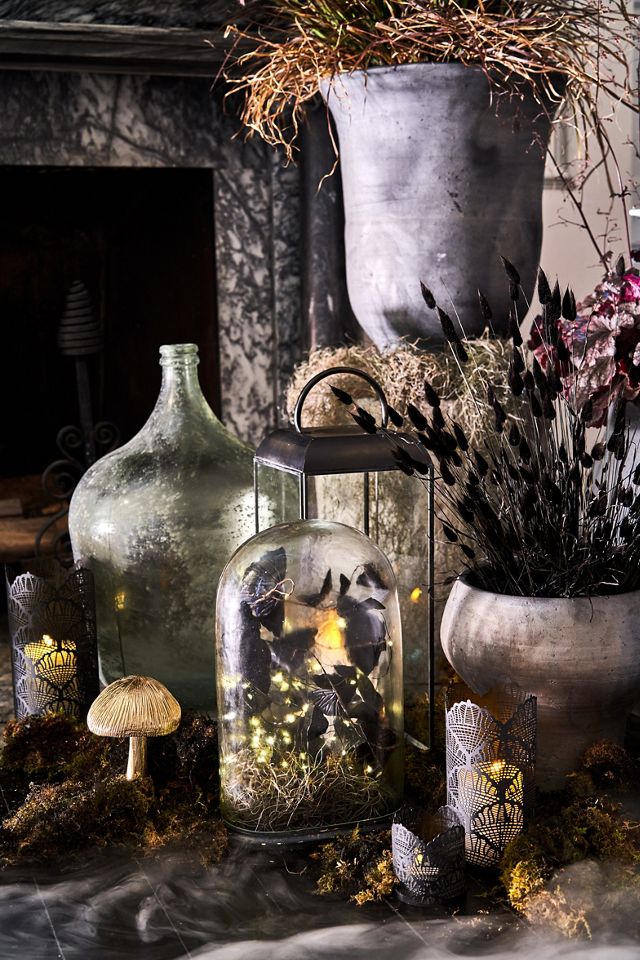 Oval Cloche with Distressed Wood Base | Terrain