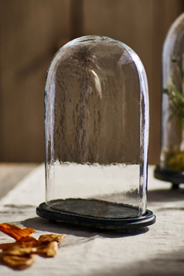 Oval Cloche with Distressed Wood Base | Terrain