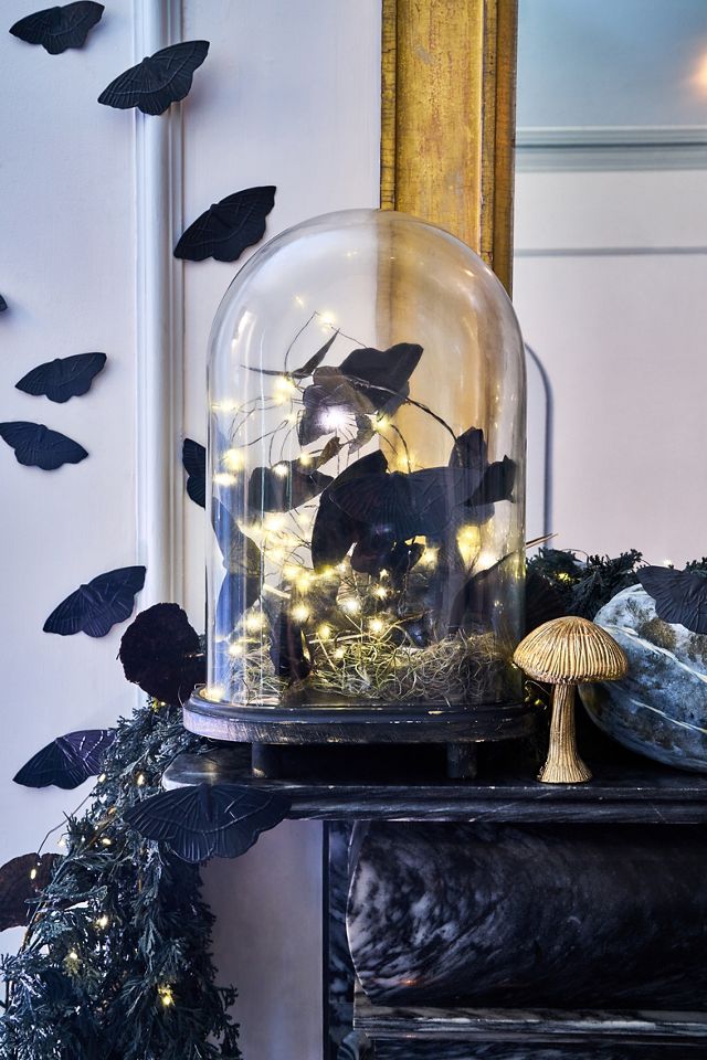 Oval Cloche with Distressed Wood Base | Anthropologie