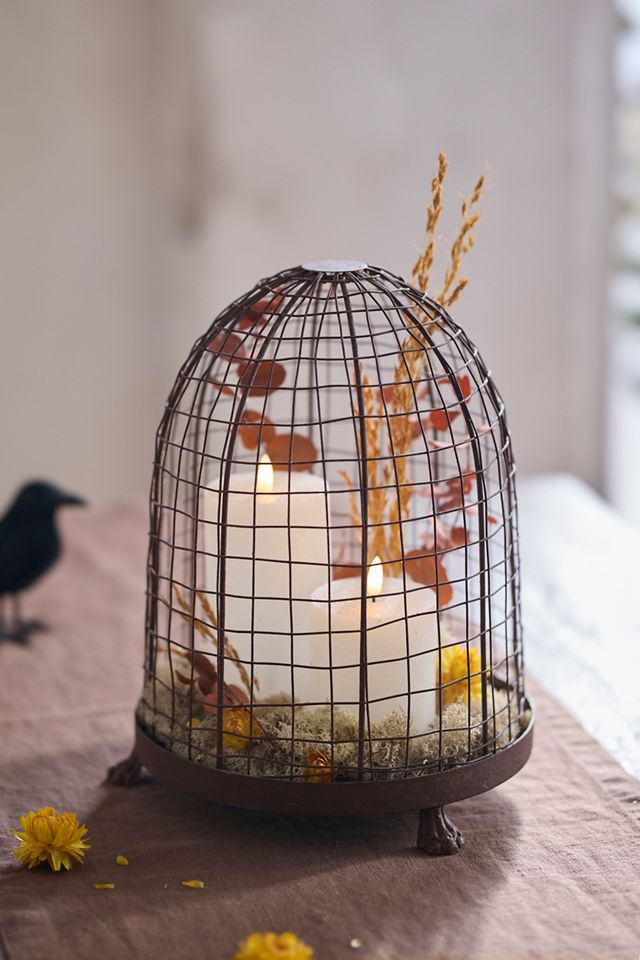 Dome Wire Cloche | Terrain