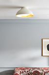 Agnes Flush Mount | AnthroLiving