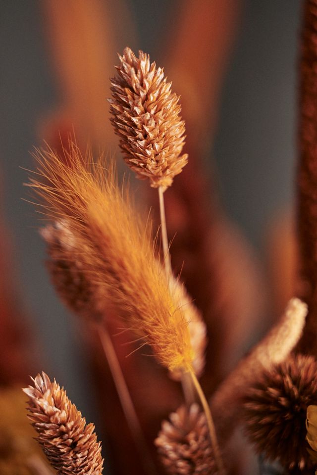 Preserved Millet, Phalaris, Strawflower Bouquet | Terrain