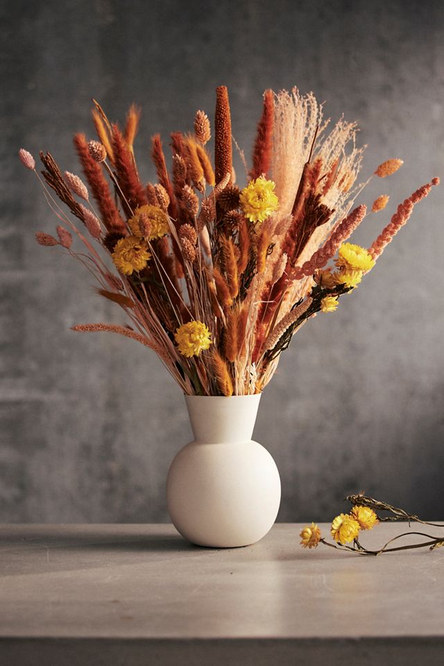 Preserved Millet, Phalaris, Strawflower Bouquet | AnthroLiving