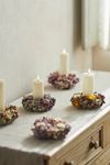 Mini Preserved Holly, Pepperberry + Acorn Wreath | AnthroLiving