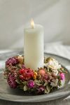 Mini Preserved Holly, Pepperberry + Acorn Wreath | AnthroLiving