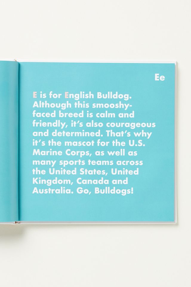 Alphabet Legends Book | AnthroLiving