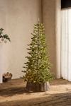 Pre-Lit Faux Silvertip Fir | Anthropologie