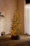 Pre-Lit Faux Silvertip Fir | Anthropologie