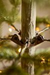 Pre-Lit Faux Silvertip Fir | Anthropologie