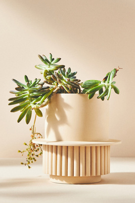 Capra Designs | Anthropologie