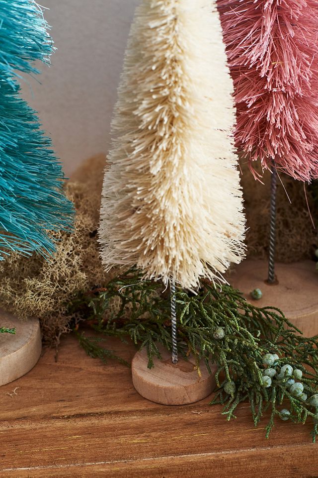 Brush Trees, Set of 6 | Anthropologie