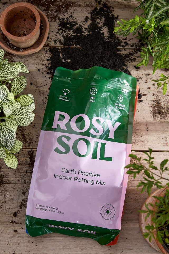 Rosy Soil Earth Positive Indoor Potting Mix | Terrain