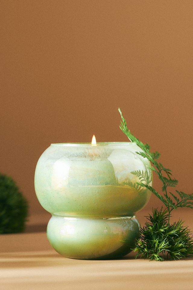 Mila Fresh Fern Moss Glass Candle | AnthroLiving