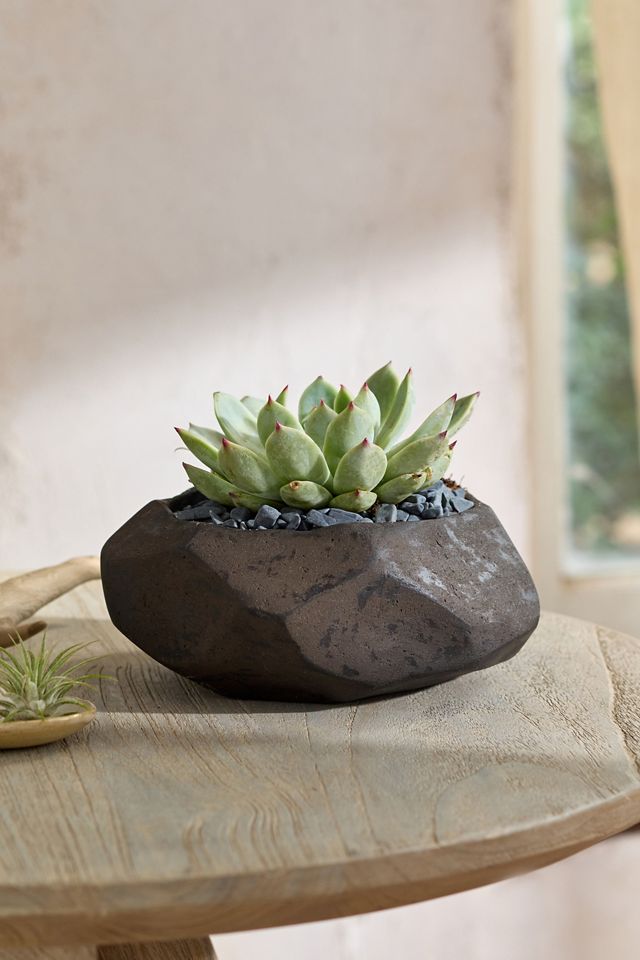 Boulder Terracotta Bowl Planter | Terrain