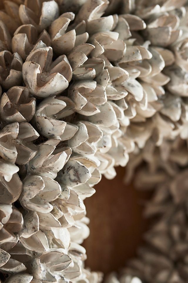 Preserved Bakuli Pod Wreath | Terrain