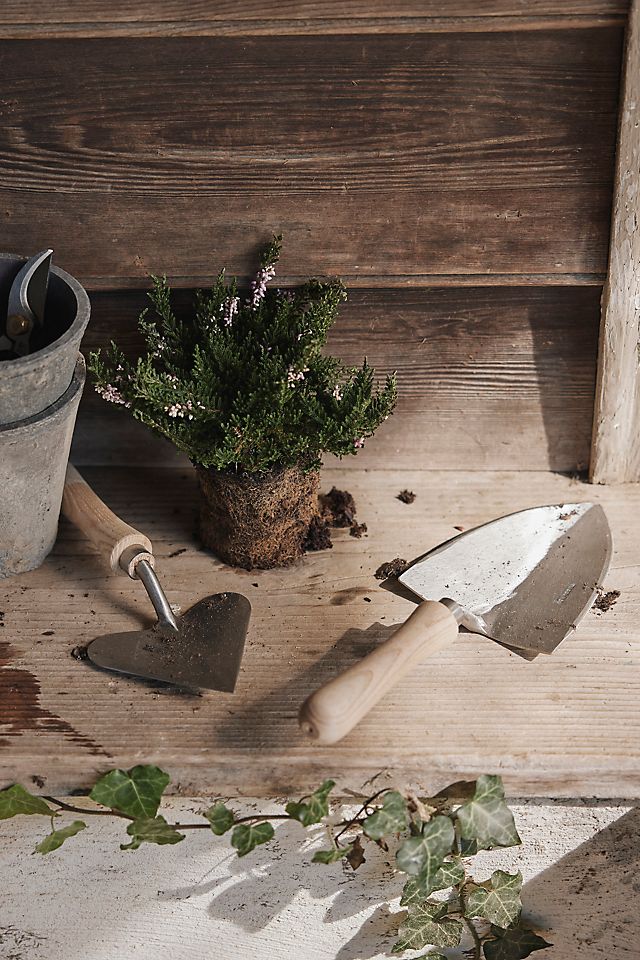Sneeboer Heart-Shaped Trowel | Terrain Sneeboer Heart-Shaped Trowel | Terrain
