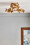 Claudia Flush Mount | AnthroLiving