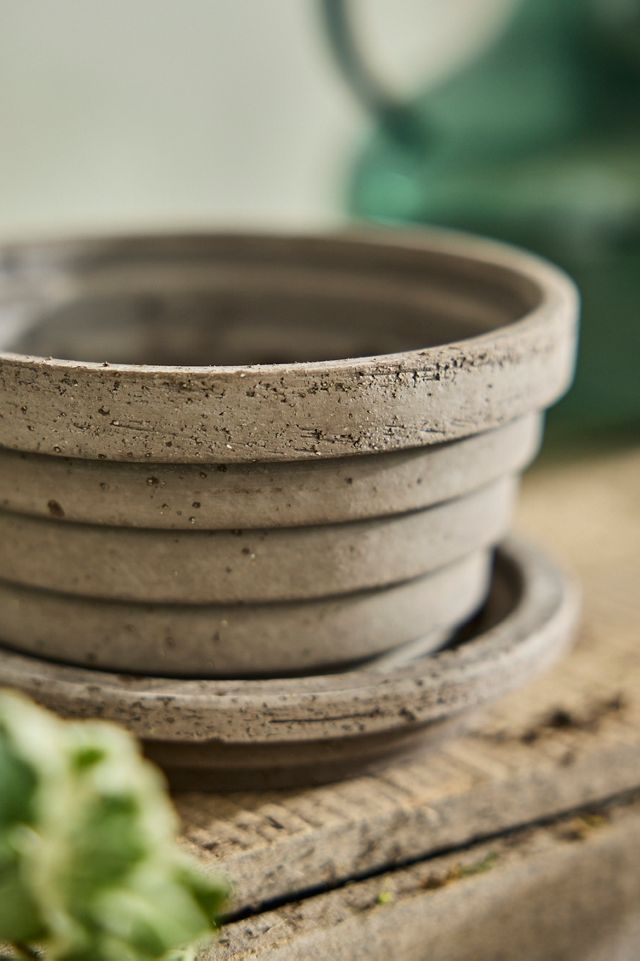 Bergs Mars Pot + Saucer Set | Anthropologie