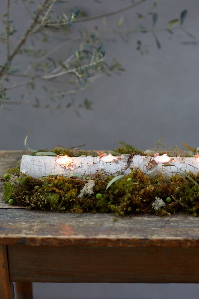 Birch Log Tea Light Holder | AnthroLiving