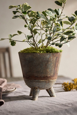Iron Tripod Planter | Terrain