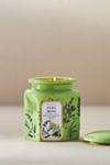 Apothecary 18 Fresh Fern Moss Ceramic Jar Candle | AnthroLiving