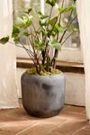 Luca Rounded Planter | AnthroLiving