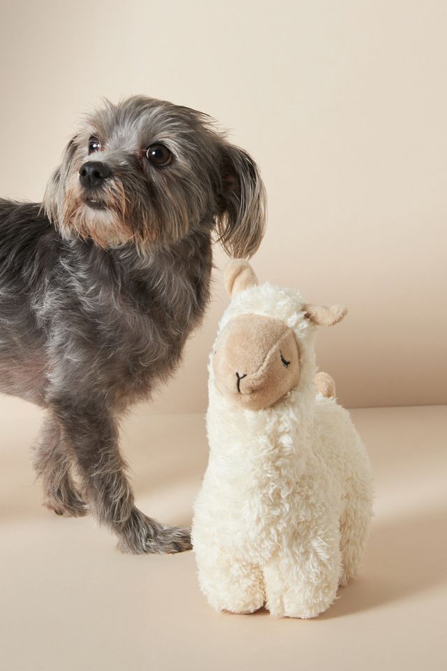 Harry Barker Plush Dog Toy | AnthroLiving