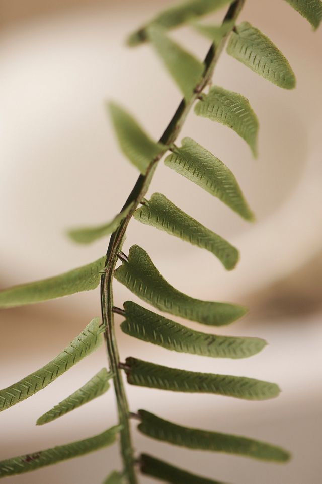 Faux Hanging Fern | Terrain