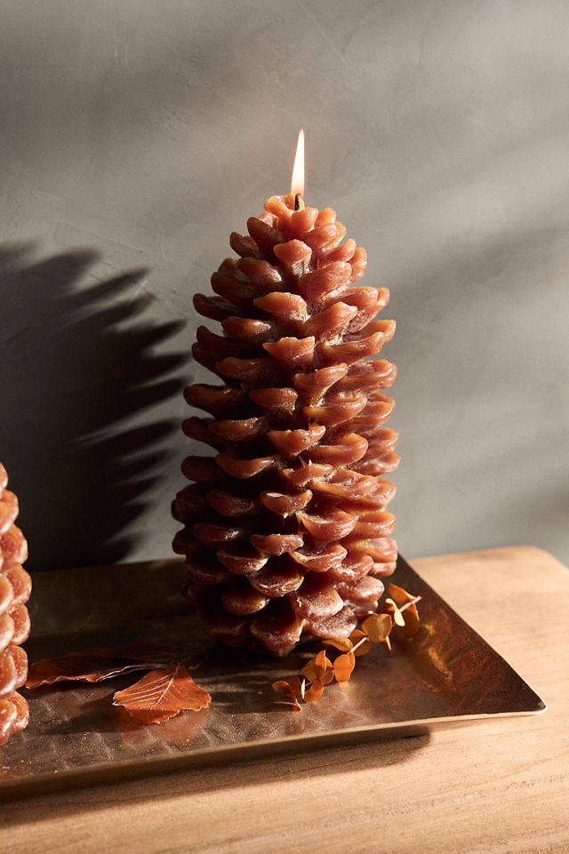 Pine Cone Candle | Terrain