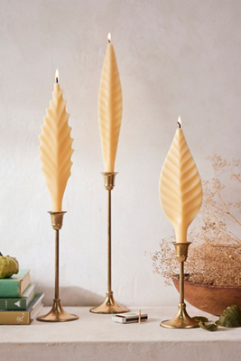 Leaf Taper Candle | AnthroLiving