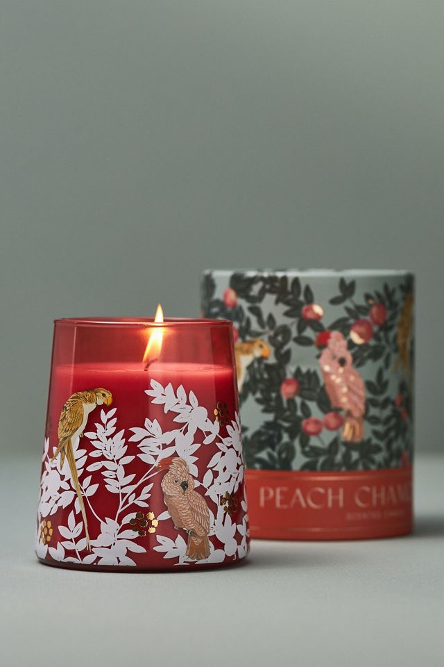 Getaway Fruity Peach Chamomile Boxed Candle | Anthropologie