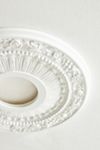 Nadia Ceiling Medallion | AnthroLiving