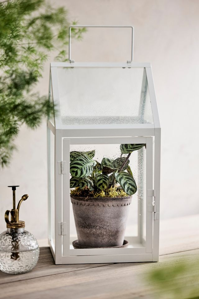 Iron + Glass Square Greenhouse | Terrain