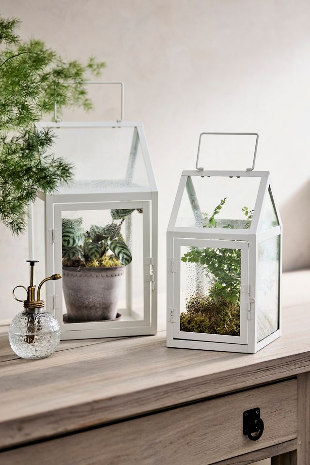 Iron + Glass Square Greenhouse | Terrain
