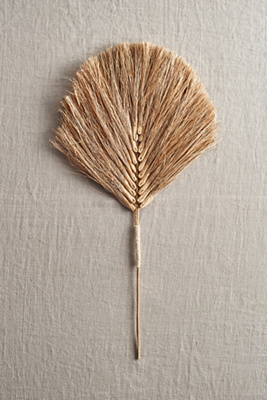 Straw Fan Stem | AnthroLiving