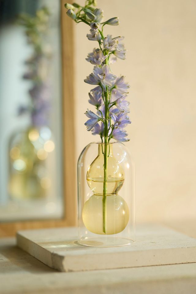 Bubble Cloche Glass Bud Vase | AnthroLiving