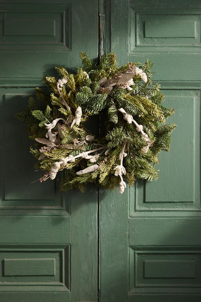 Fresh Lamb’s Ear + Fir Greenery Collection | AnthroHome