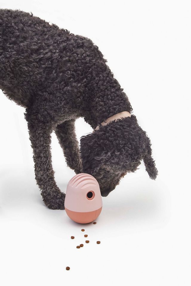 Fable Pets Food Game | AnthroLiving