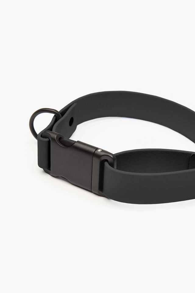 Fable Pets Signature Collar | AnthroLiving