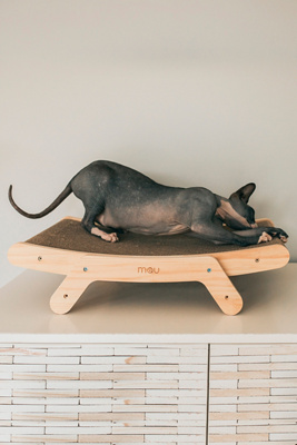 Mau Pet | Anthropologie