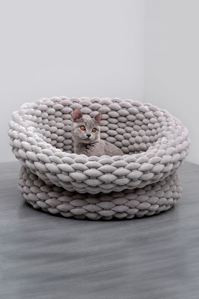 Mau Pet Vevo Cat Bed | AnthroLiving