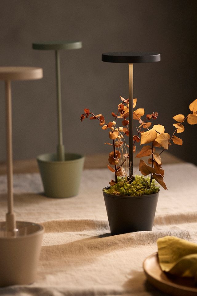 Upside Down LED Rechargeable Table Lamp | AnthroLiving